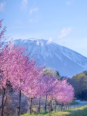 Northern Japan: Where Tradition and Pristine Landscapes Converge